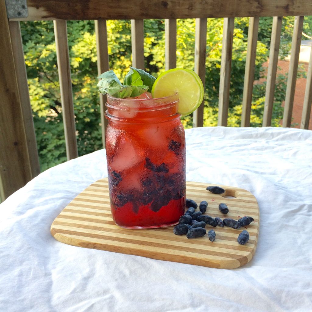 Camerise Salsa - Les Jardins de Vieuxpont